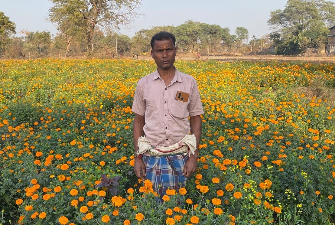 Marigold Farming Success : गेंदा की खेती से देवानंद कर रहे एक एकड़ में ...